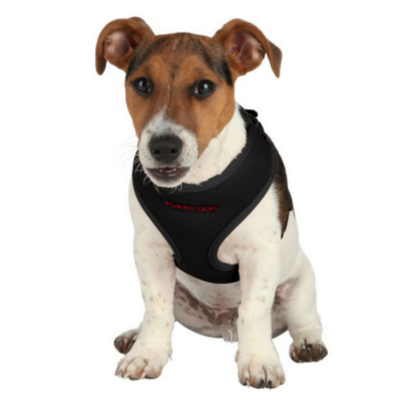 Easy Walk Sele Til Hund X Large R d Tilbud Anti tr k Sele Hundehjertet Easy Walk Sele Til Hund X Large R d Tilbud Anti tr k Sele Hundehjertet
